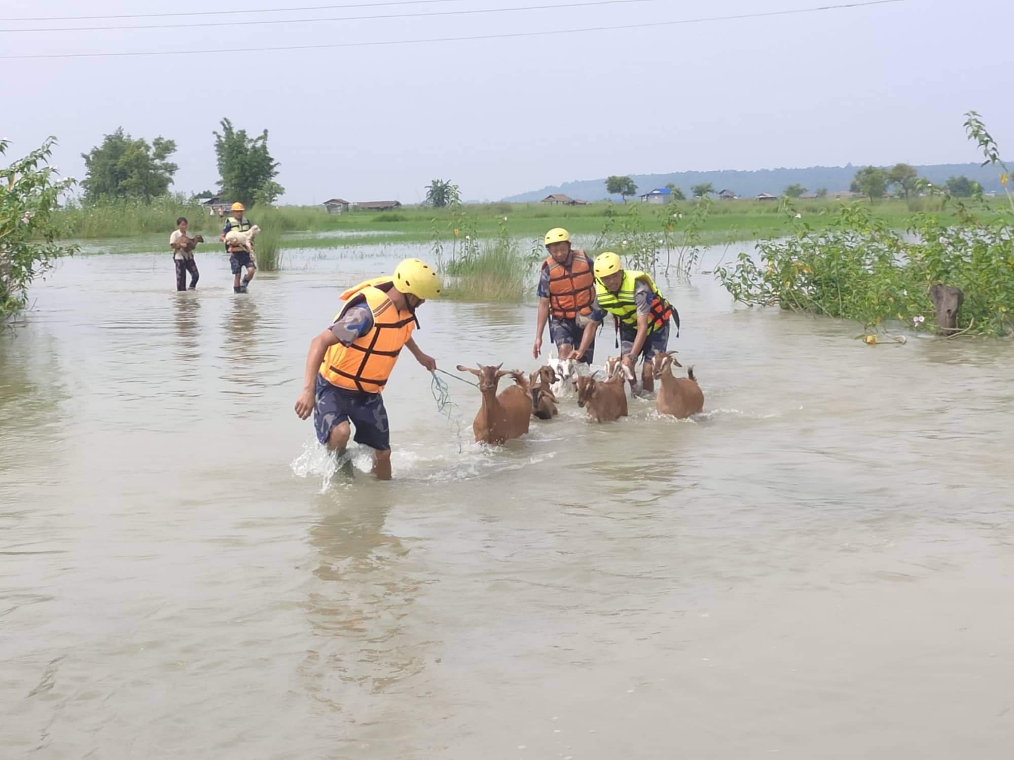 Koshi flood: Rescue works continue to relocate 2,500 families - Nepal ...