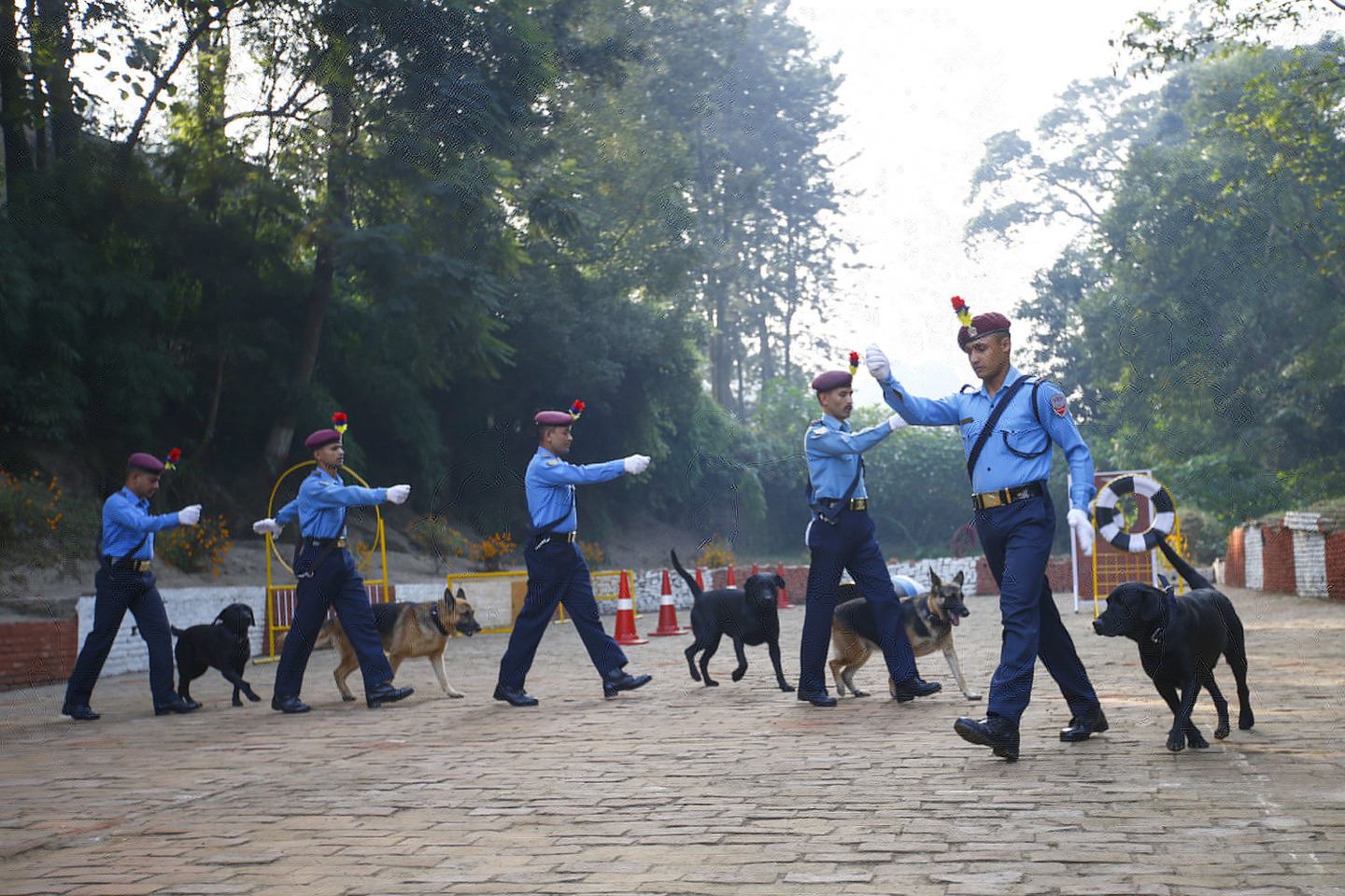 Nepal Police to deploy detectives and dogs for Tihar security - Babita ...